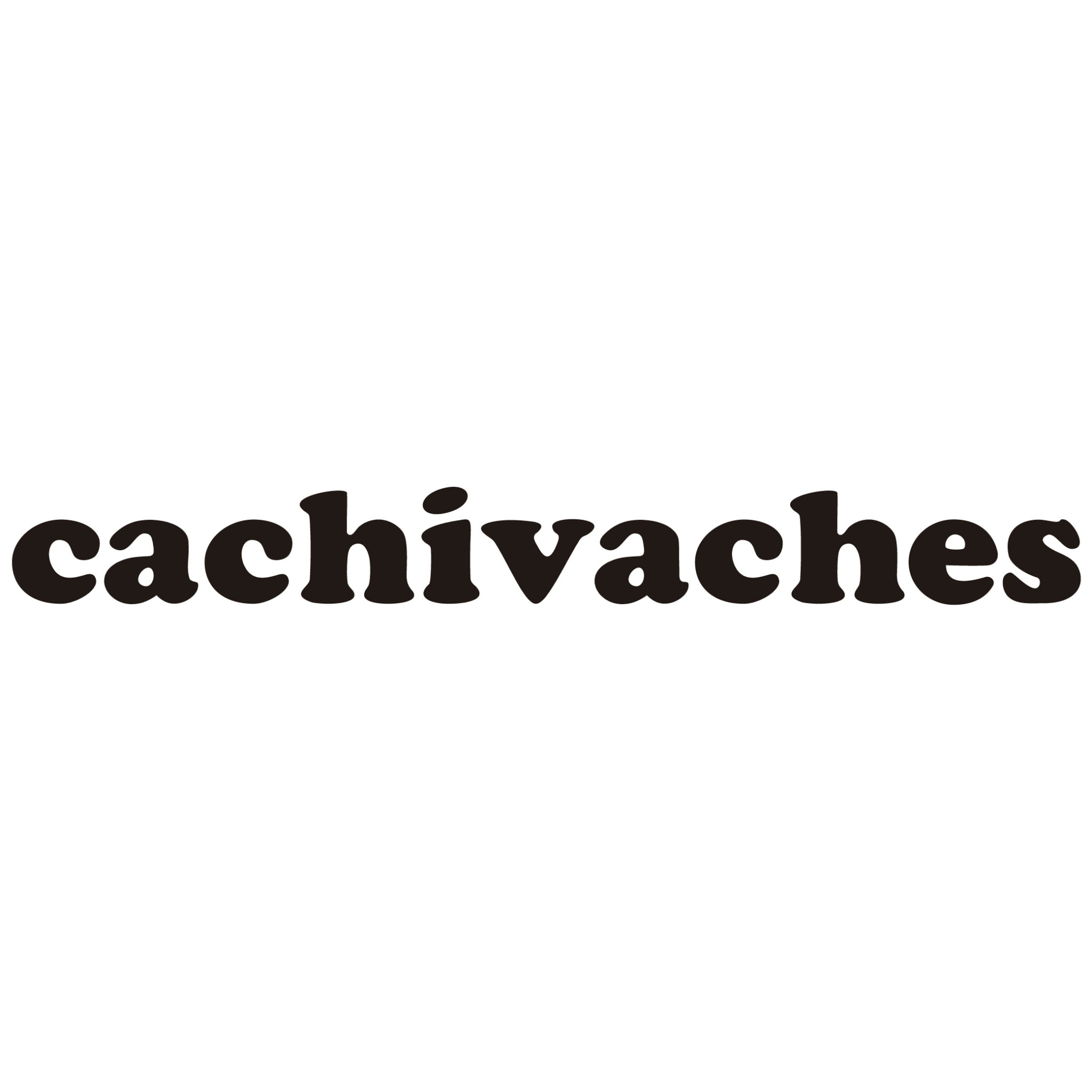CACHIVACHES - Centro comercial santa Ana